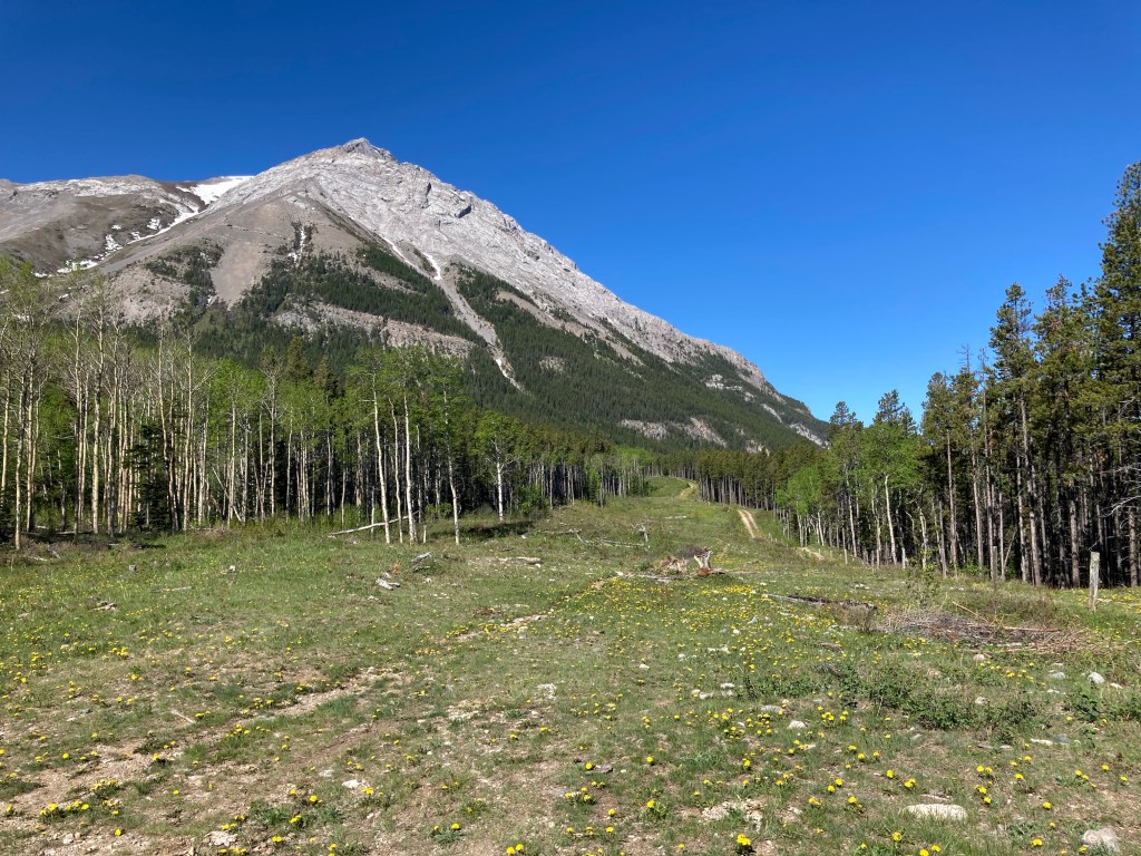 Sentry Mountain – Hiking With Par