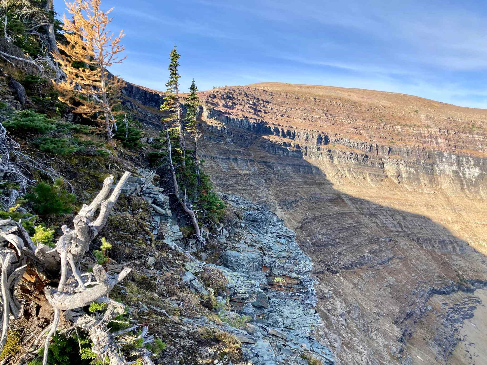 Forum Peak & Akamina Ridge – Hiking With Par