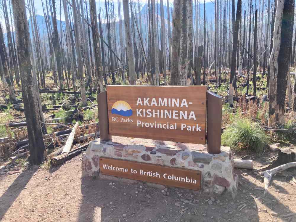 Forum Peak & Akamina Ridge – Hiking With Par