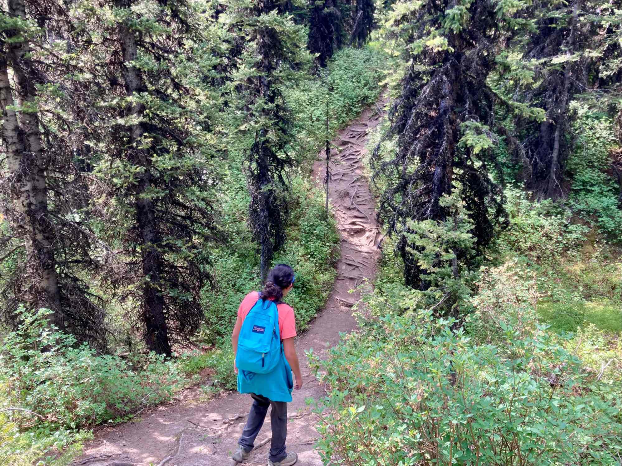 Rummel Lake & Rummel Pass – Hiking With Par